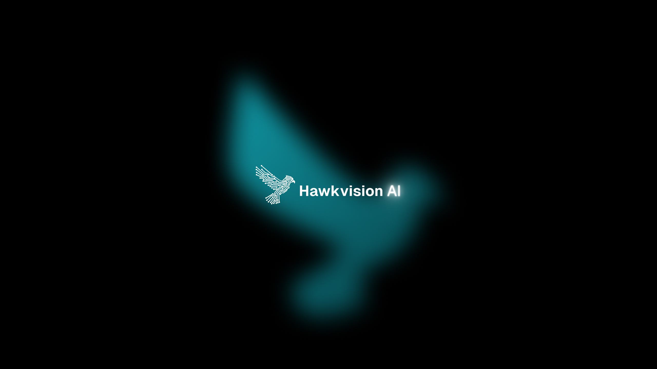 HawkVision